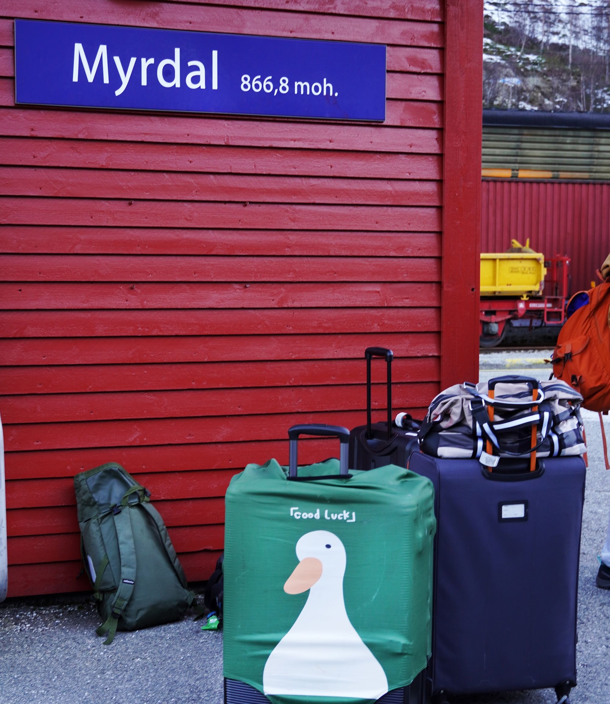 What to do in Myrdal – A Guide | vy.no